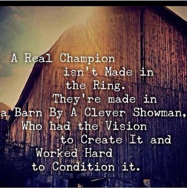 Livestock Showing Quotes Inspiration