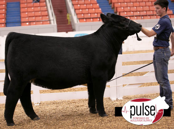 Blog | Lautner Farms | Experience the Lautner Farms Value Guarantee ...