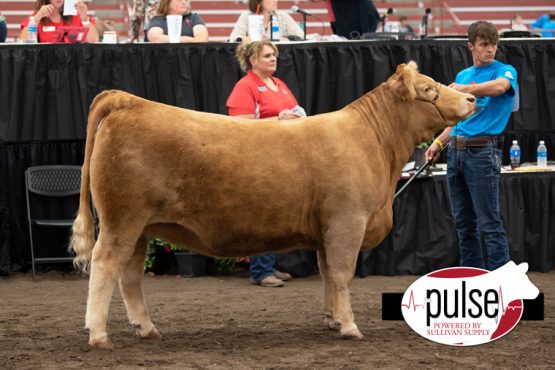 2022 Nebraska State Fair | Lautner Farms