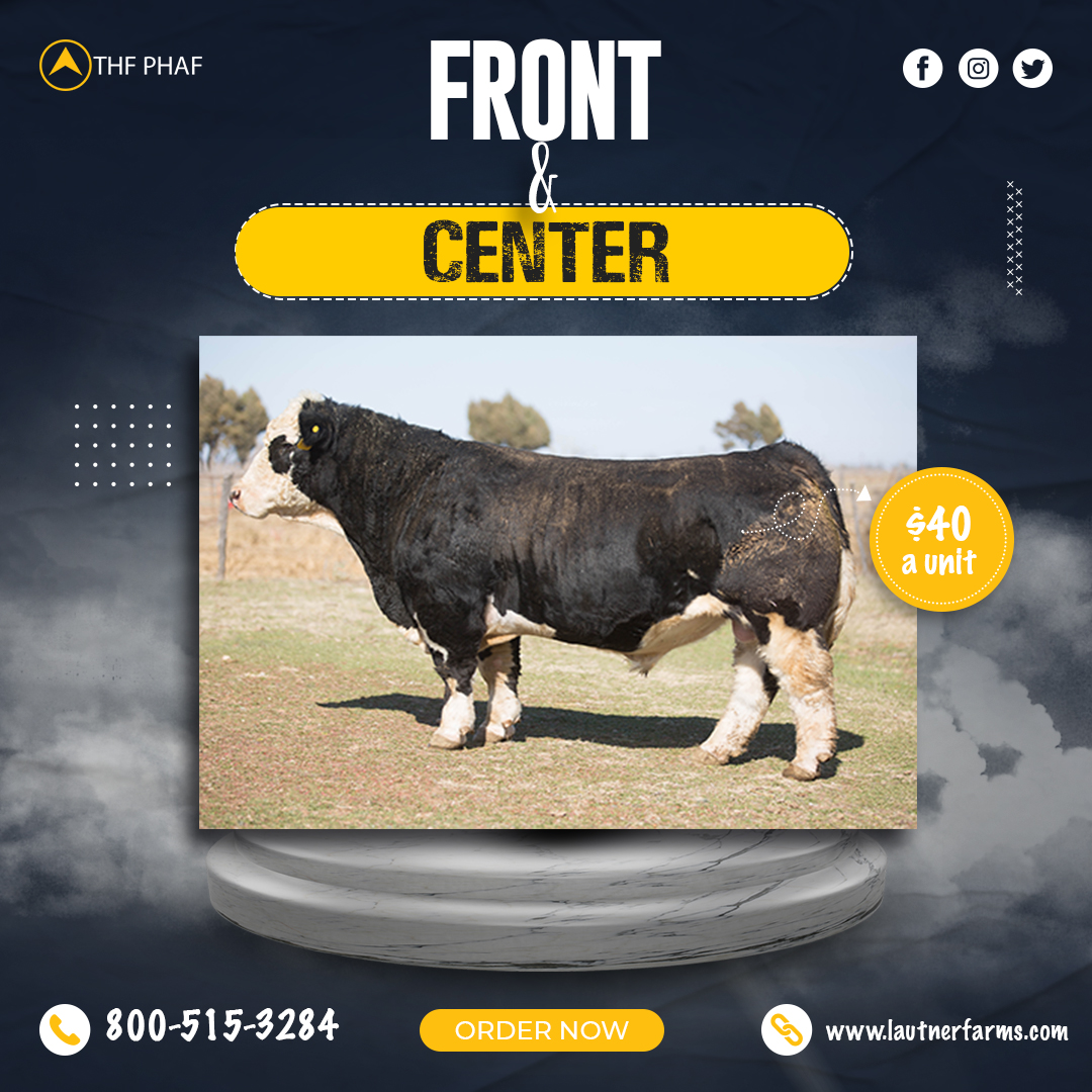 FRONT & CENTER THF PHAF consistent sire! | Lautner Farms
