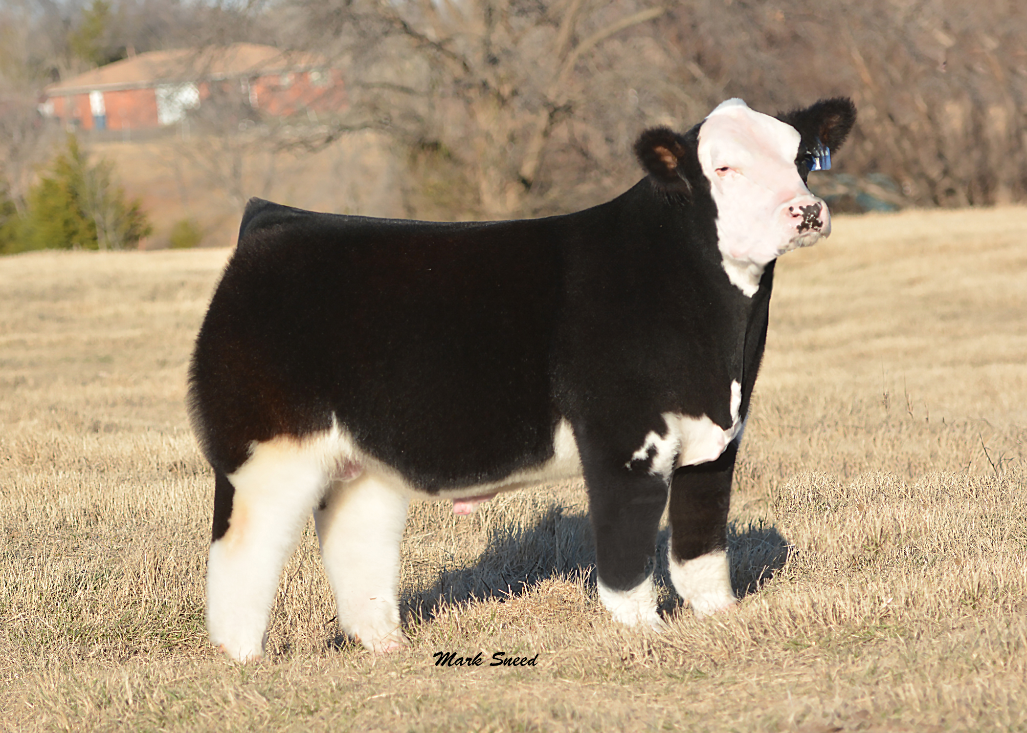 FRONT & CENTER | Lautner Farms