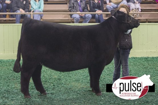 I-80 | Lautner Farms