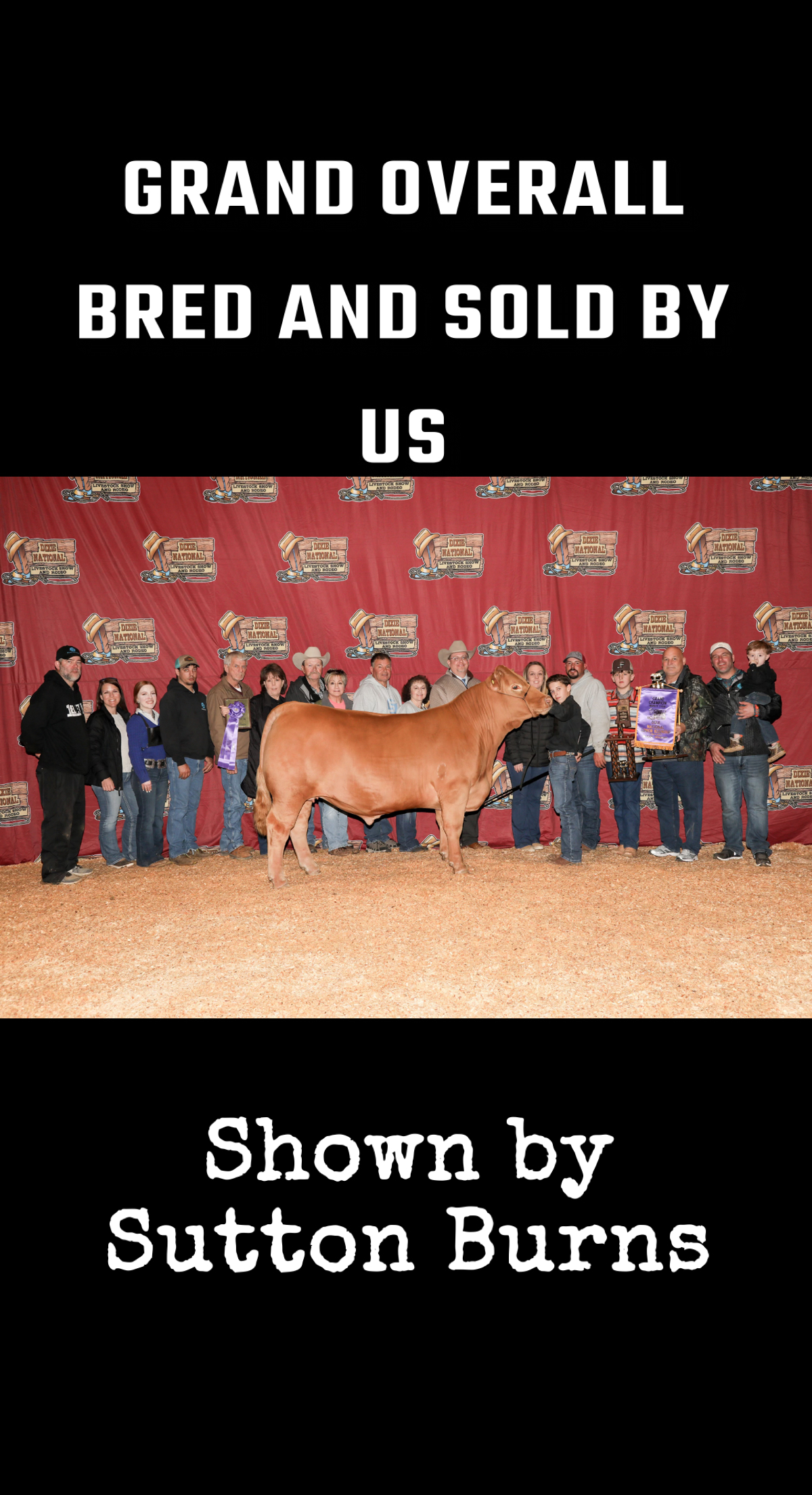 From Justin Sullivan :: Sired by Milkman Dam Chopper Bred and sold by ...