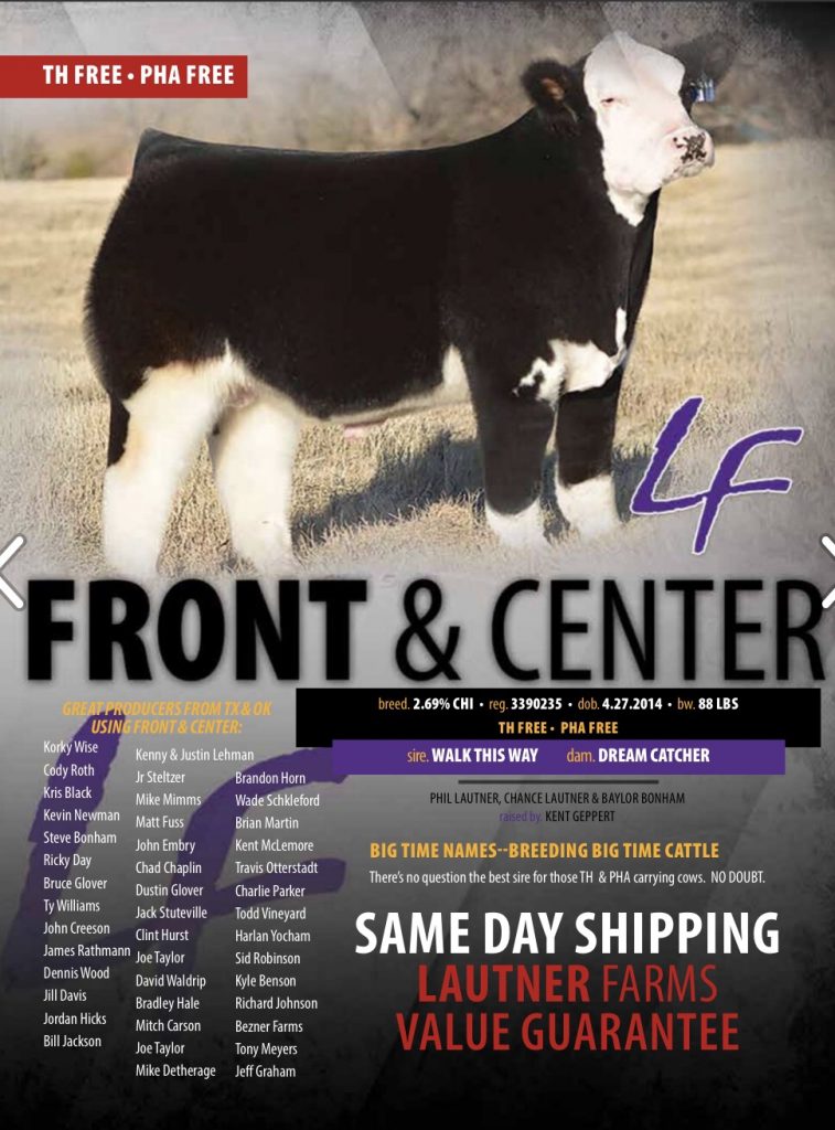 Front & Center Mature bull picture. No question, the best Clean bull on ...