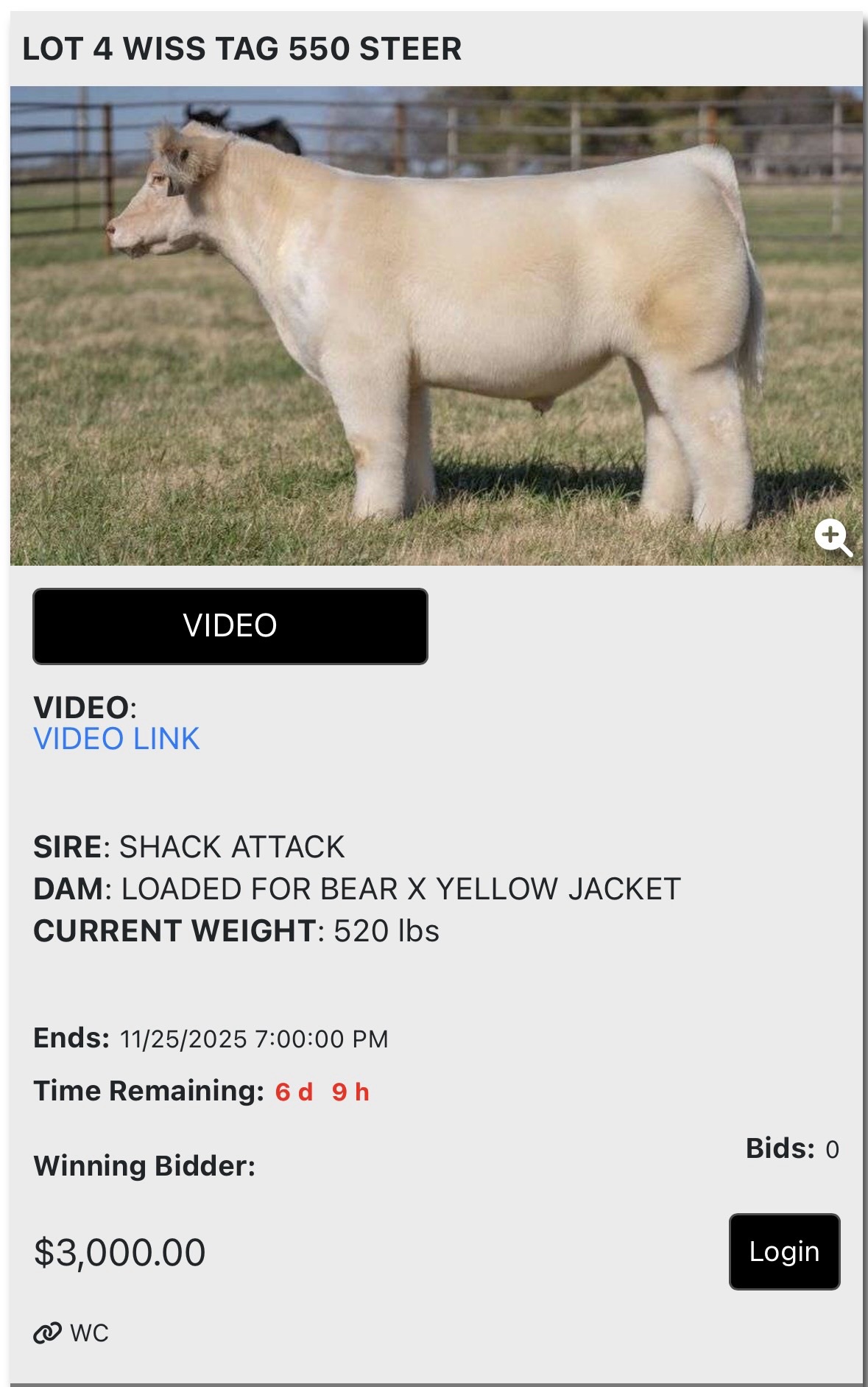 Wiss Cattle 11/25 on steerbidder | Lautner Farms