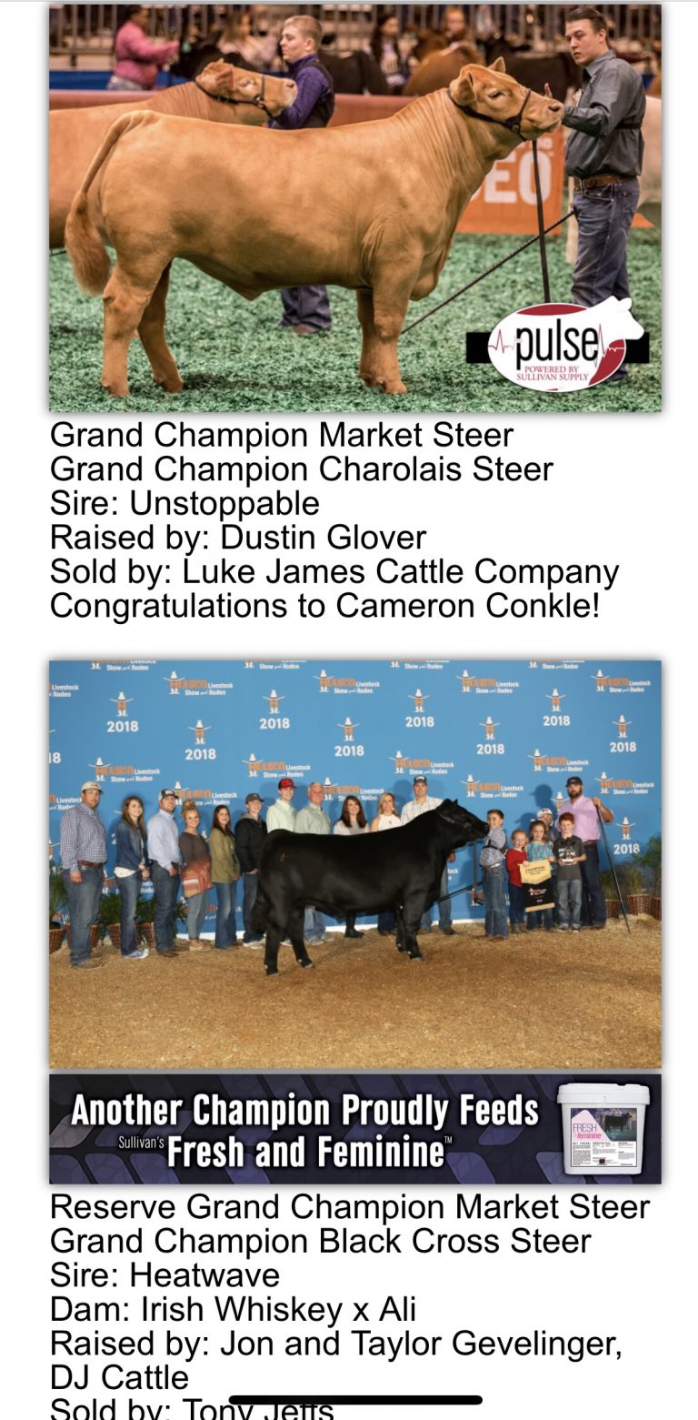 Grand Champion Market Steer at the Houston Livestock Show sired by Unstoppable! Reserve steer ...