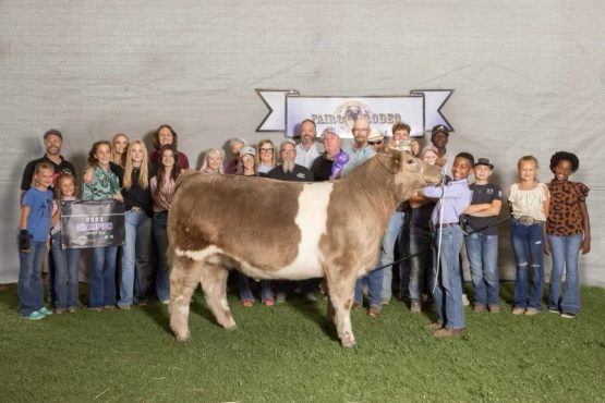 Grand Champion Steer Douglas County Fair & Rodeo, Castle Rock, Colorado ...