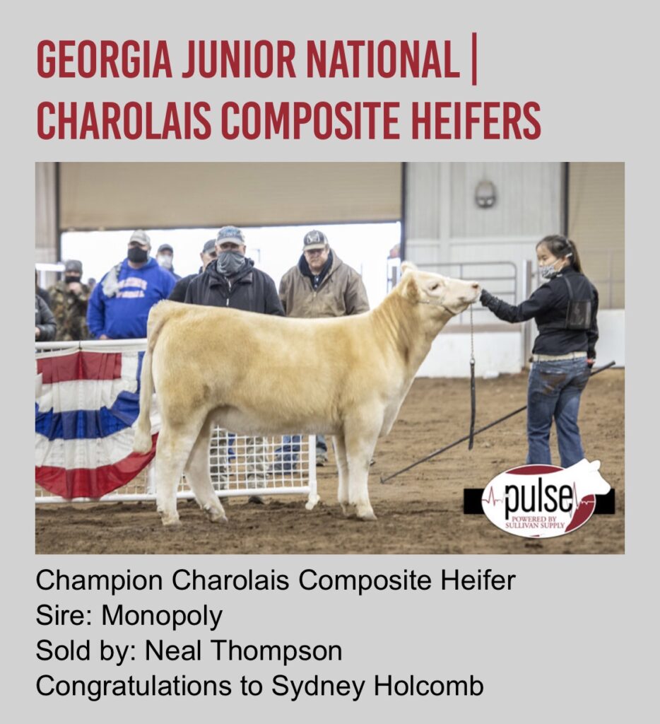 Georgia Jr Nationals 2021 Reserve 1st year Market Beef sired by Dakota ...