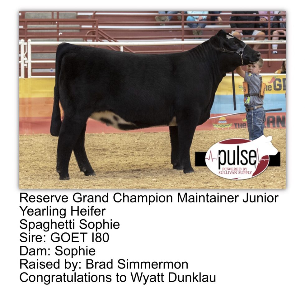 Maine-Anjou National Junior Show | Reserve Grand Champion Maintainer ...
