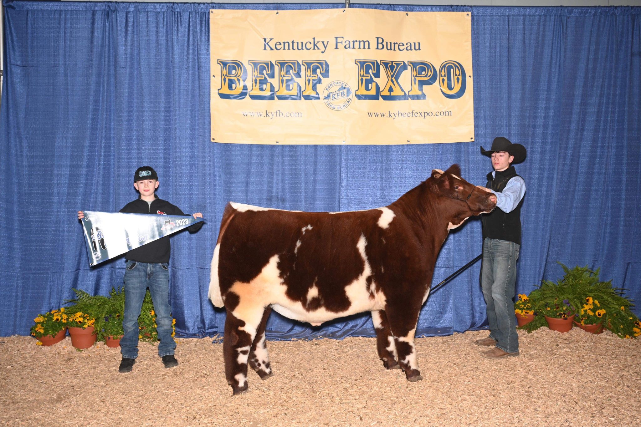 Champion Shorthorn Steer @Kentucky Beef ExpoSire : FSF PerfectionBred ...