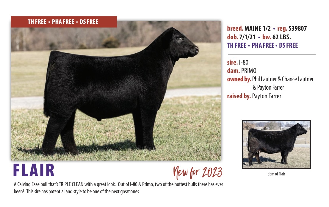 FLAIR AVAILABLE NOW | Lautner Farms