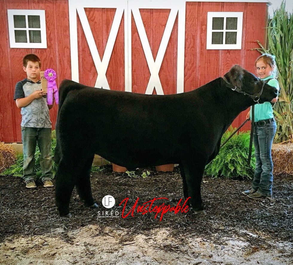 Congratulations to Dallas Richey! Champion Prospect Steer at the Lake ...