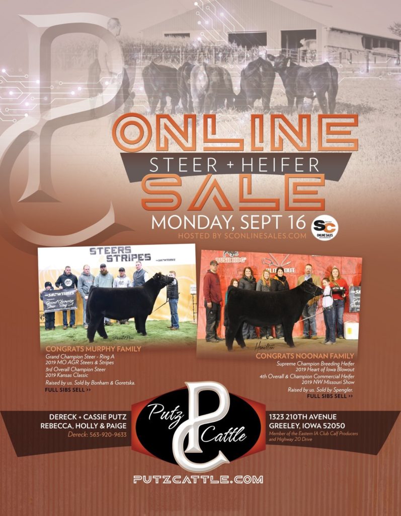 Mark your calendars! Putz Cattle Online Steer & Heifer Sale Monday Sept ...